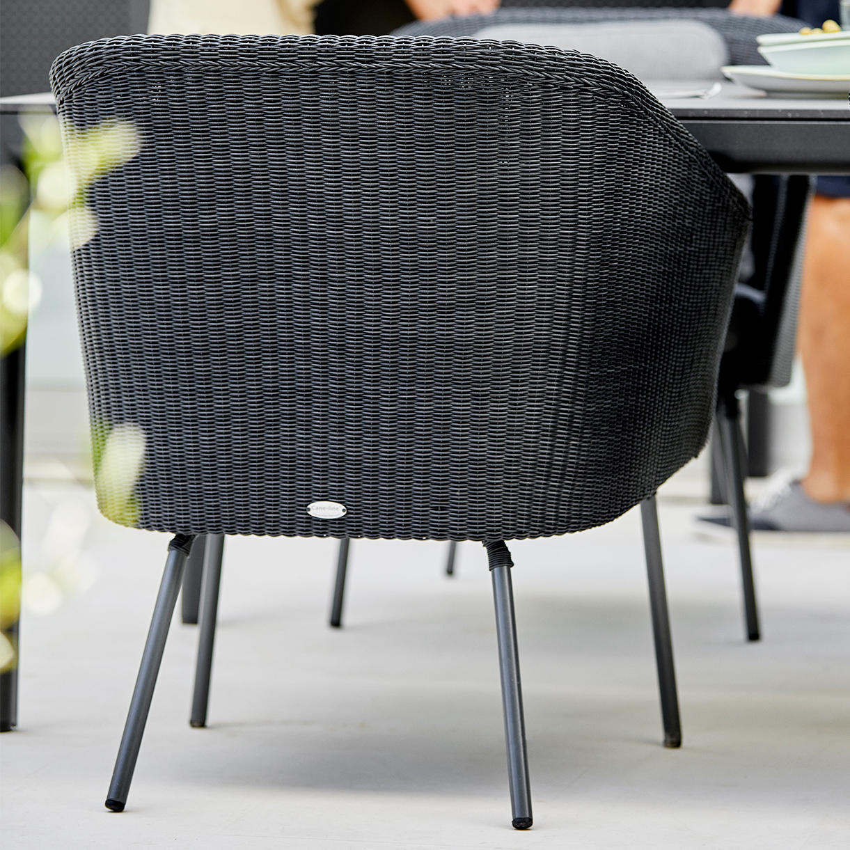 Buy Mega Dining Chair — The Worm that Turned - revitalising your ...