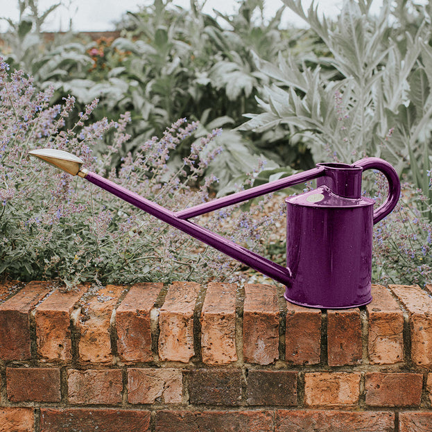 Buy Haws Violet Royale Professional Long Reach Watering Can — The Worm ...
