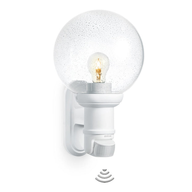 Buy Motion Sensor Globe Wall Lights — The Worm that Turned ...