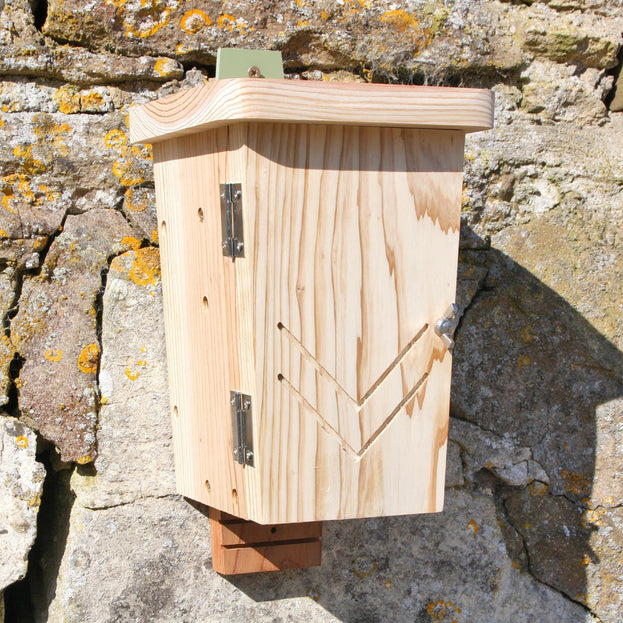 Buy Bat Box - Double Chamber — The Worm that Turned - revitalising your ...