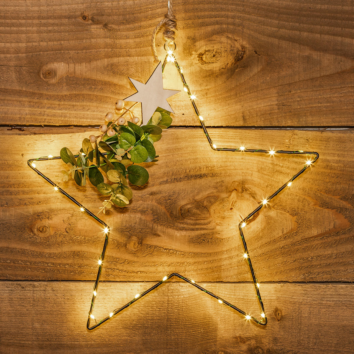 Buy Hanging Wire LED Star with Eucalptus — The Worm that Turned ...