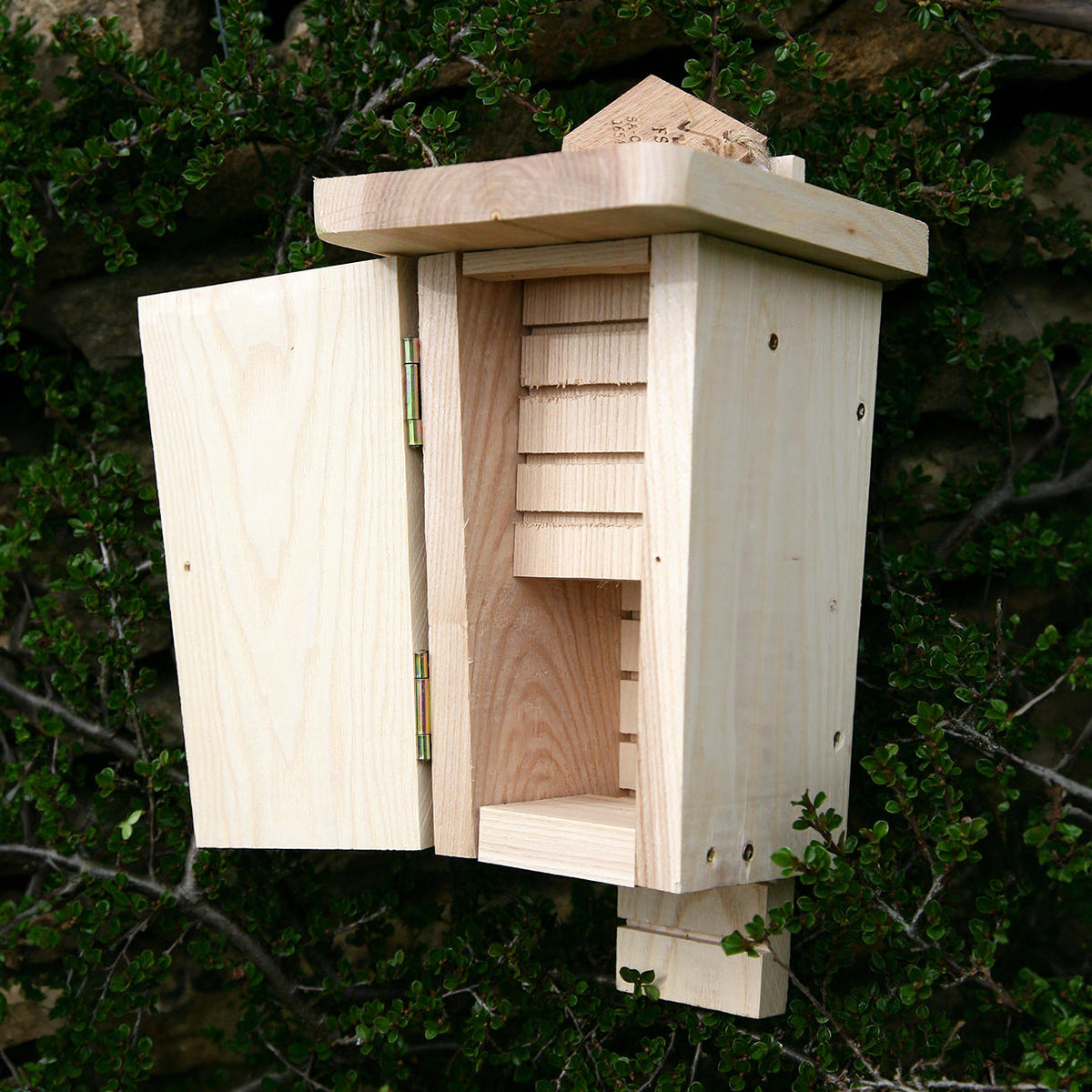 Buy Bat Box - Double Chamber — The Worm that Turned - revitalising your ...