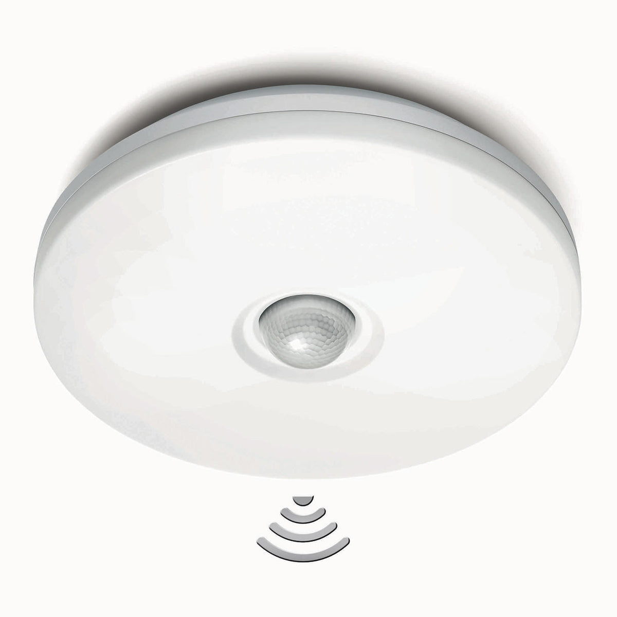 Buy Motion Sensor Disc Ceiling Light — The Worm that Turned ...