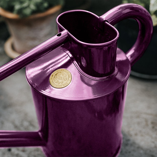 Buy Haws Violet Royale Professional Long Reach Watering Can — The Worm ...