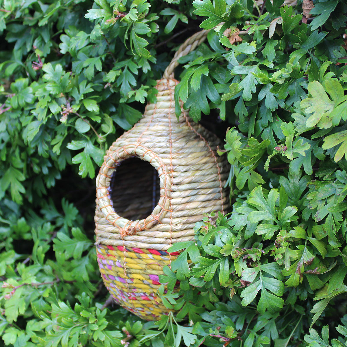 Buy Artisan Bird Nester — The Worm that Turned - revitalising your ...