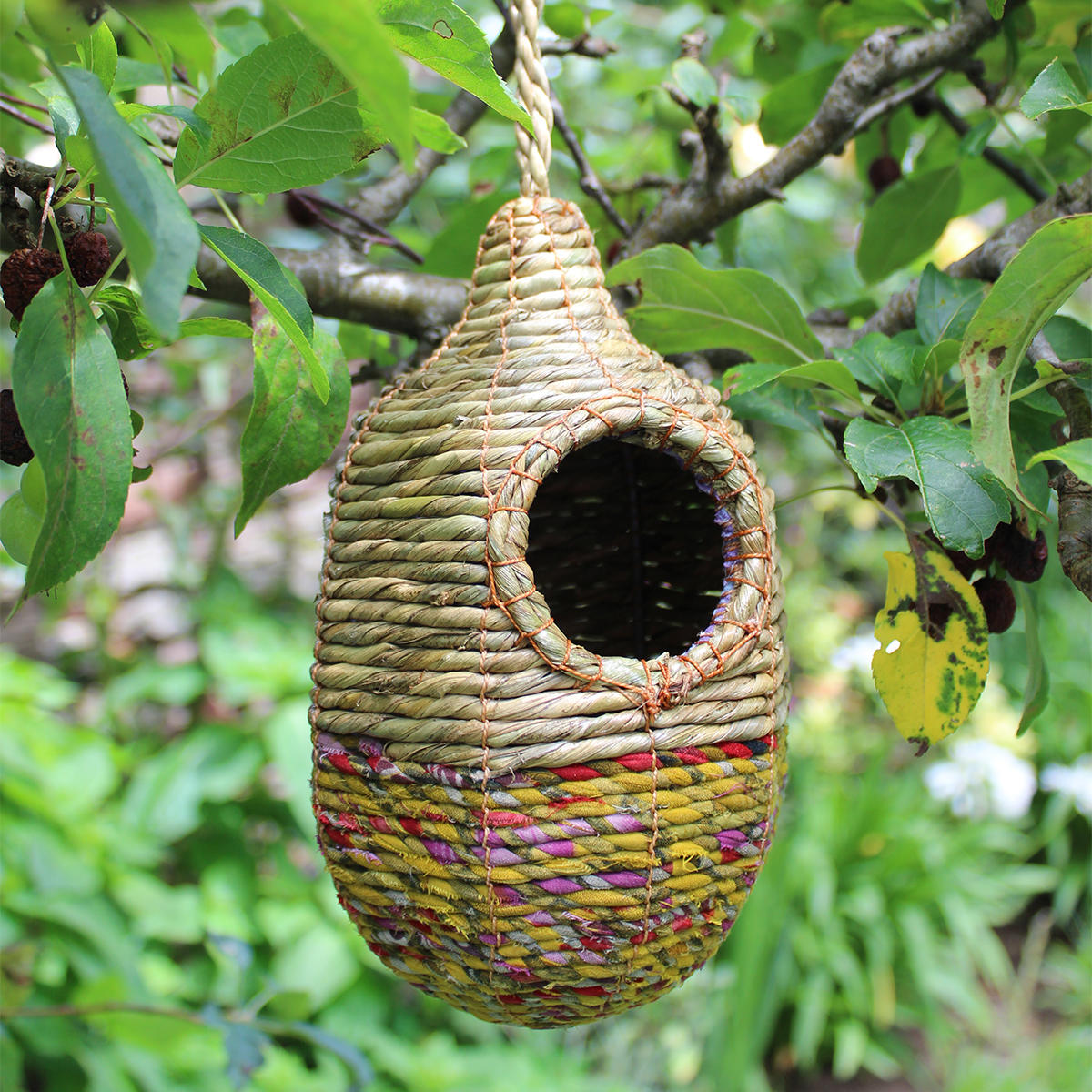 Buy Artisan Bird Nester — The Worm that Turned - revitalising your ...