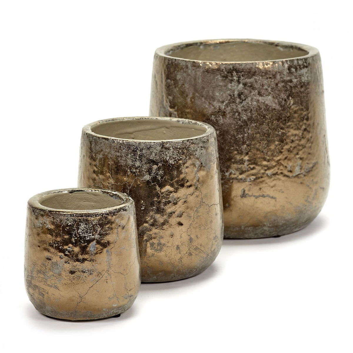Buy Divine Gold Indoor Plant Pots — The Worm that Turned - revitalising ...