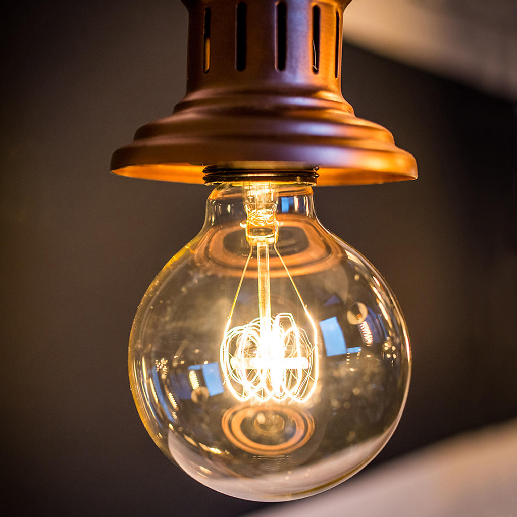 Buy Large Globe Quad Loop Filament Light Bulb — The Worm that Turned ...