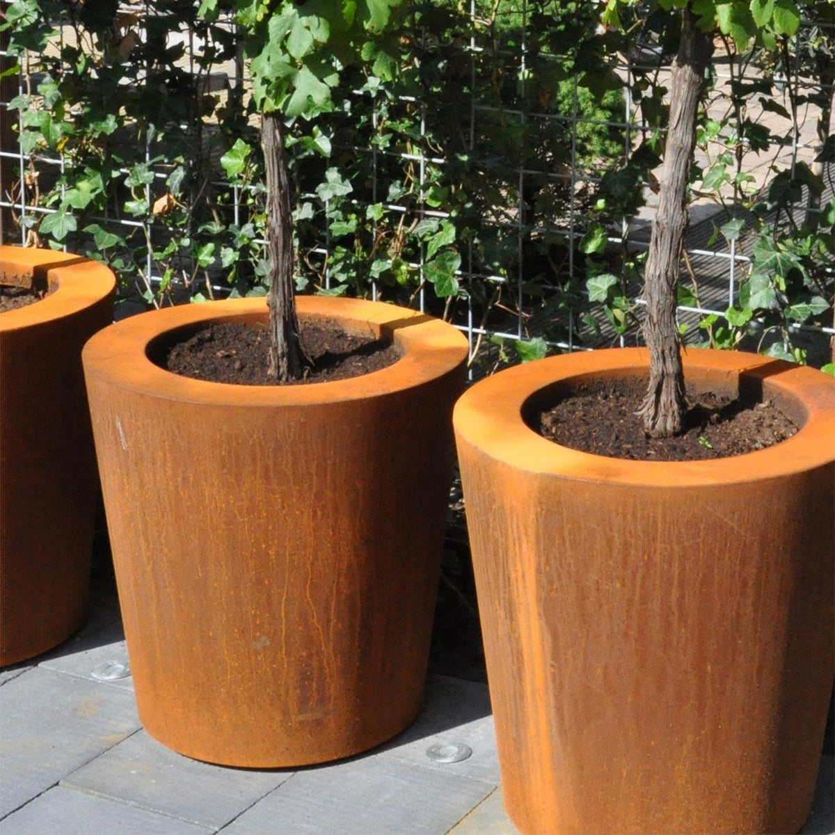 Buy Cone Corten Steel Planters — The Worm that Turned - revitalising ...
