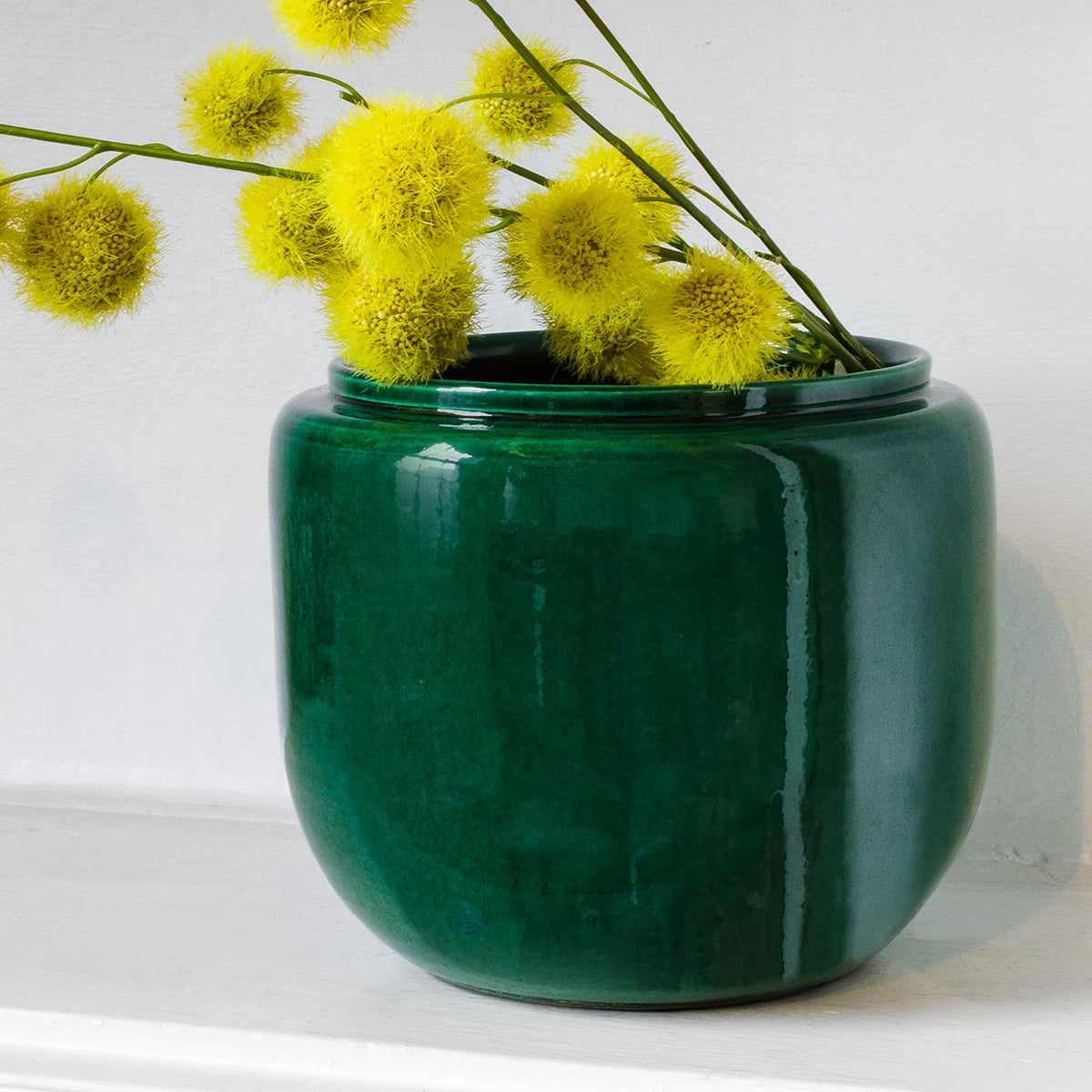 Buy Deep Green Indoor Glazed Pot — The Worm that Turned - revitalising ...