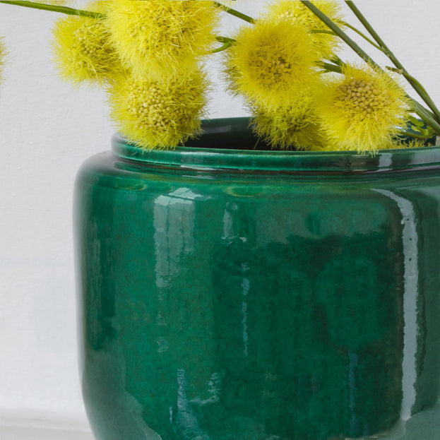 Buy Deep Green Indoor Glazed Pot — The Worm that Turned - revitalising ...