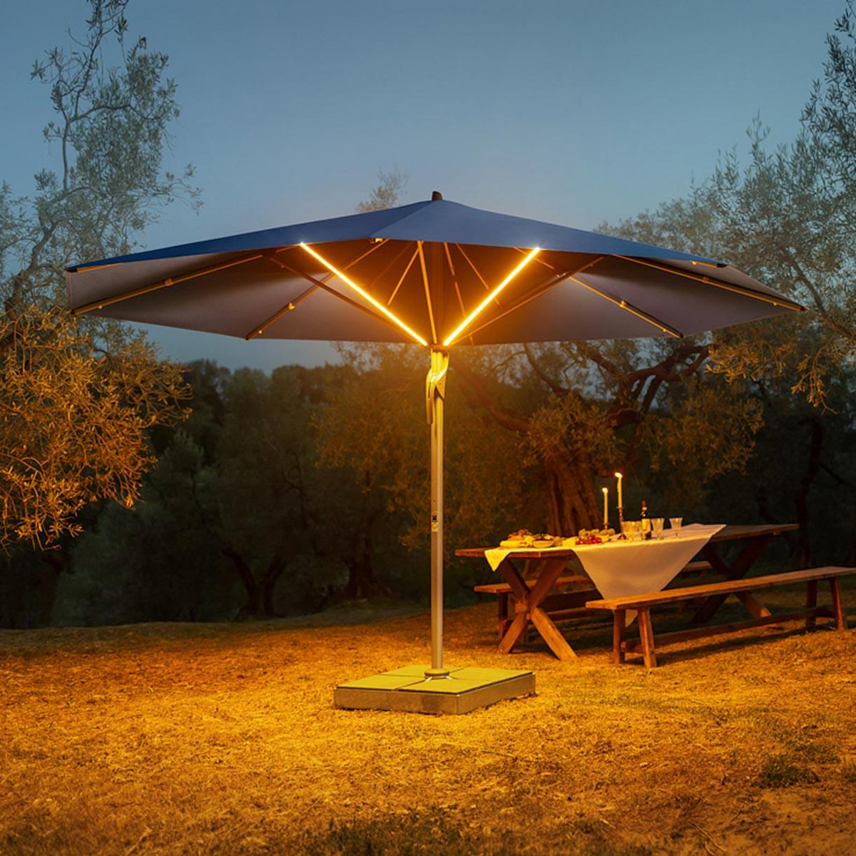 Buy Fortello LED Round Parasol — The Worm that Turned - revitalising ...