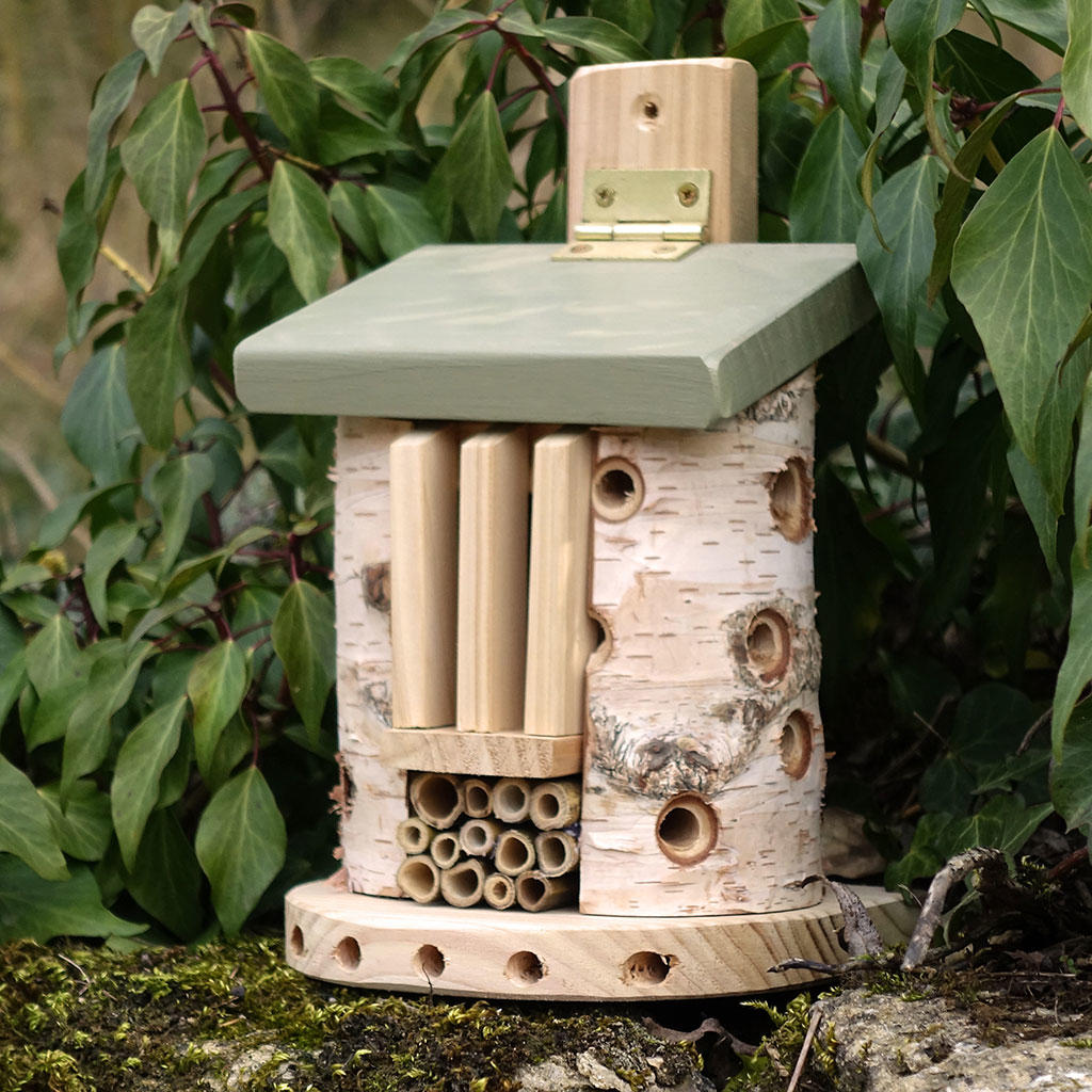 Buy Friendly Bug Barn — The Worm that Turned - revitalising your ...