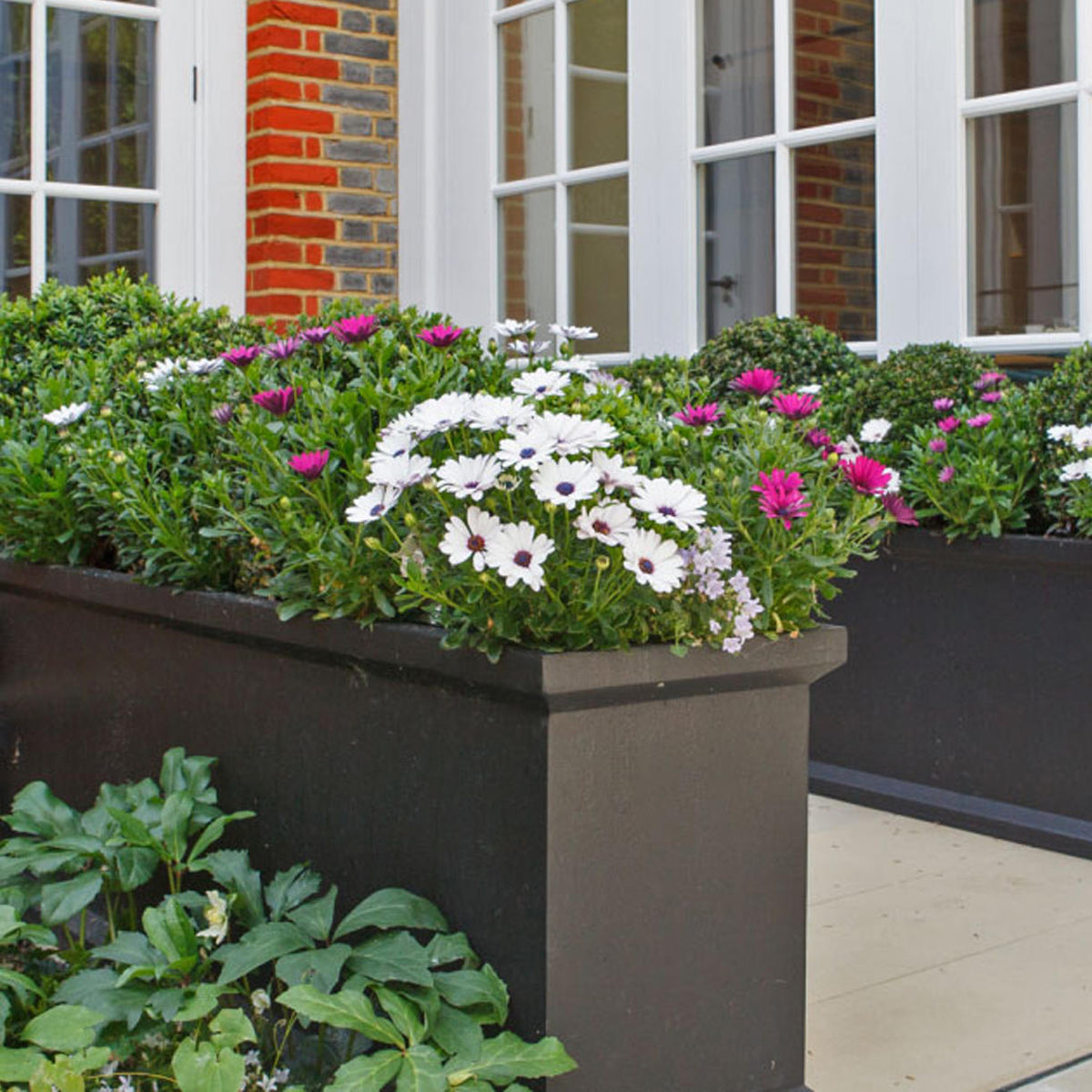Buy Grosvenor Trough — The Worm that Turned - revitalising your outdoor ...