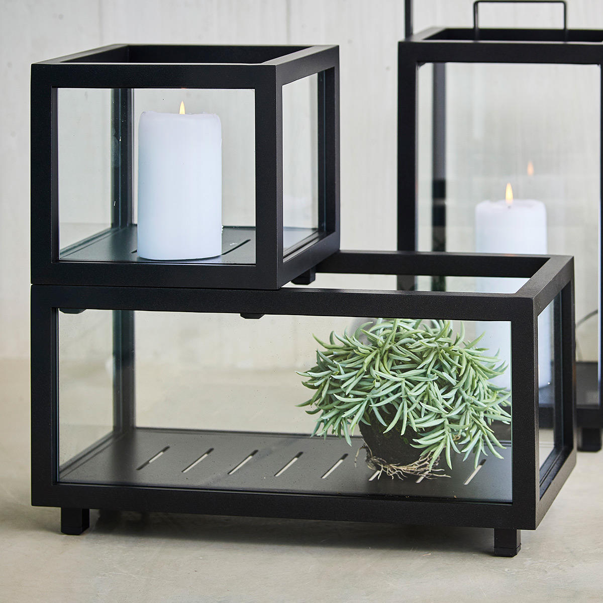 Buy Lightbox Rectangular Lantern — The Worm that Turned - revitalising ...