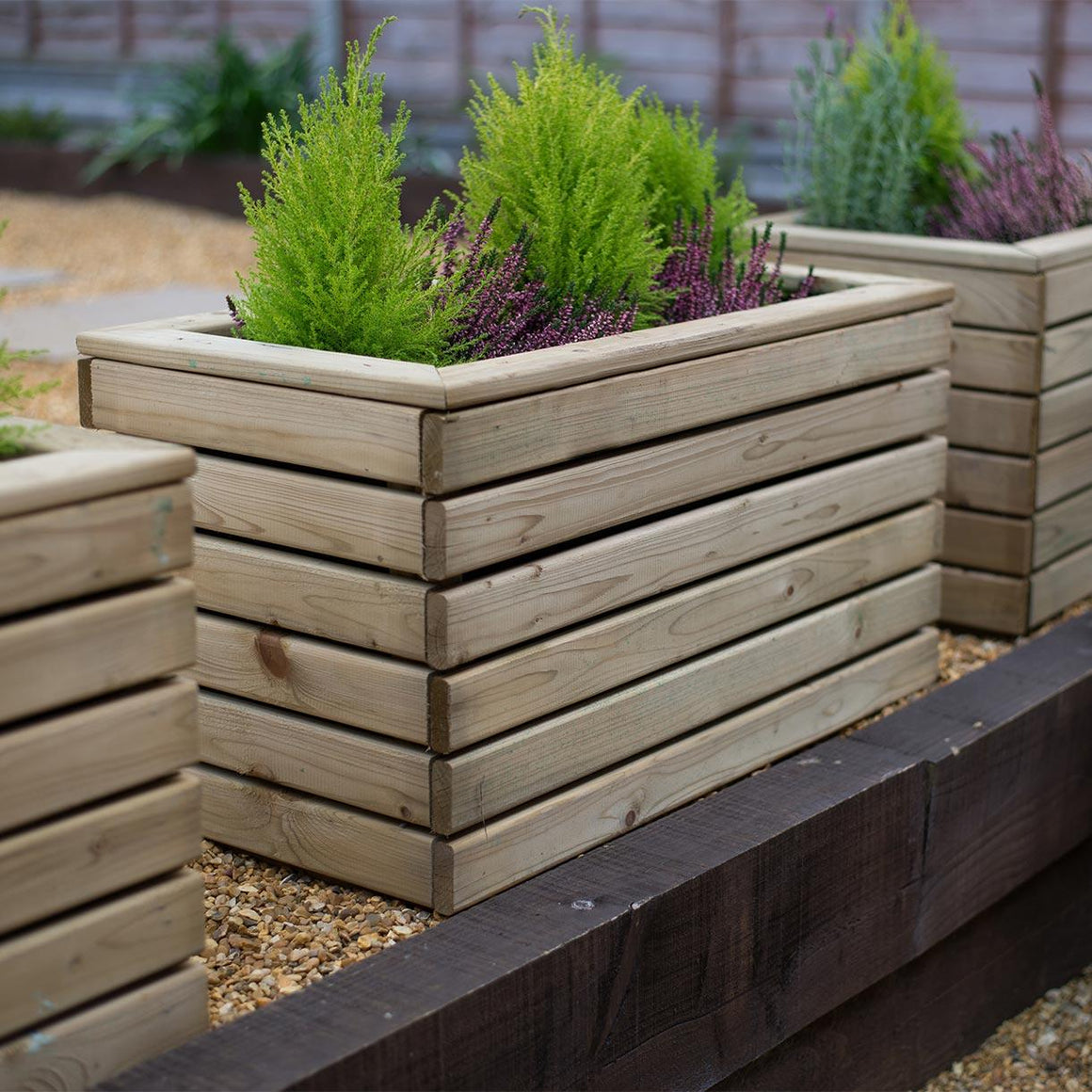 Buy Linear Rectangular Wooden Planters — The Worm that Turned ...