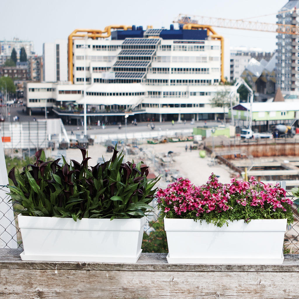 Buy Loft Urban Trough — The Worm that Turned - revitalising your ...