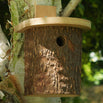 Buy Natural Log Nesting Box — The Worm that Turned - revitalising your ...