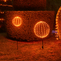 Buy Outdoor LED Illuminated Party Smart Sphere — The Worm that Turned ...