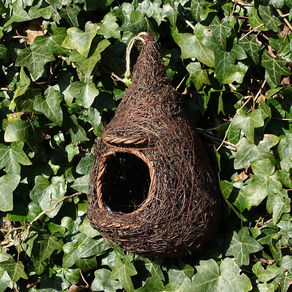 Buy Robin Roosting Nester — The Worm that Turned - revitalising your ...