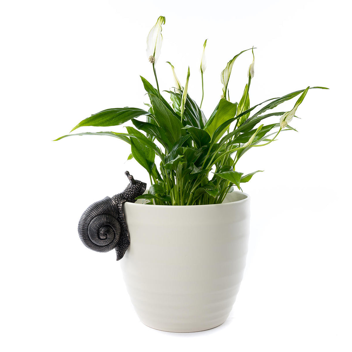 Buy Snail Plant Pot Decoration — The Worm that Turned - revitalising ...