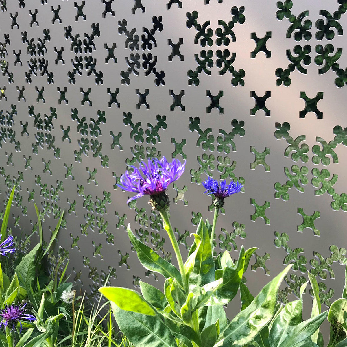 Buy Brown-Grey Aluminium Balustrade Screen — The Worm that Turned ...