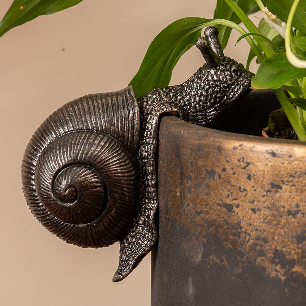 Buy Snail Plant Pot Decoration — The Worm that Turned - revitalising ...