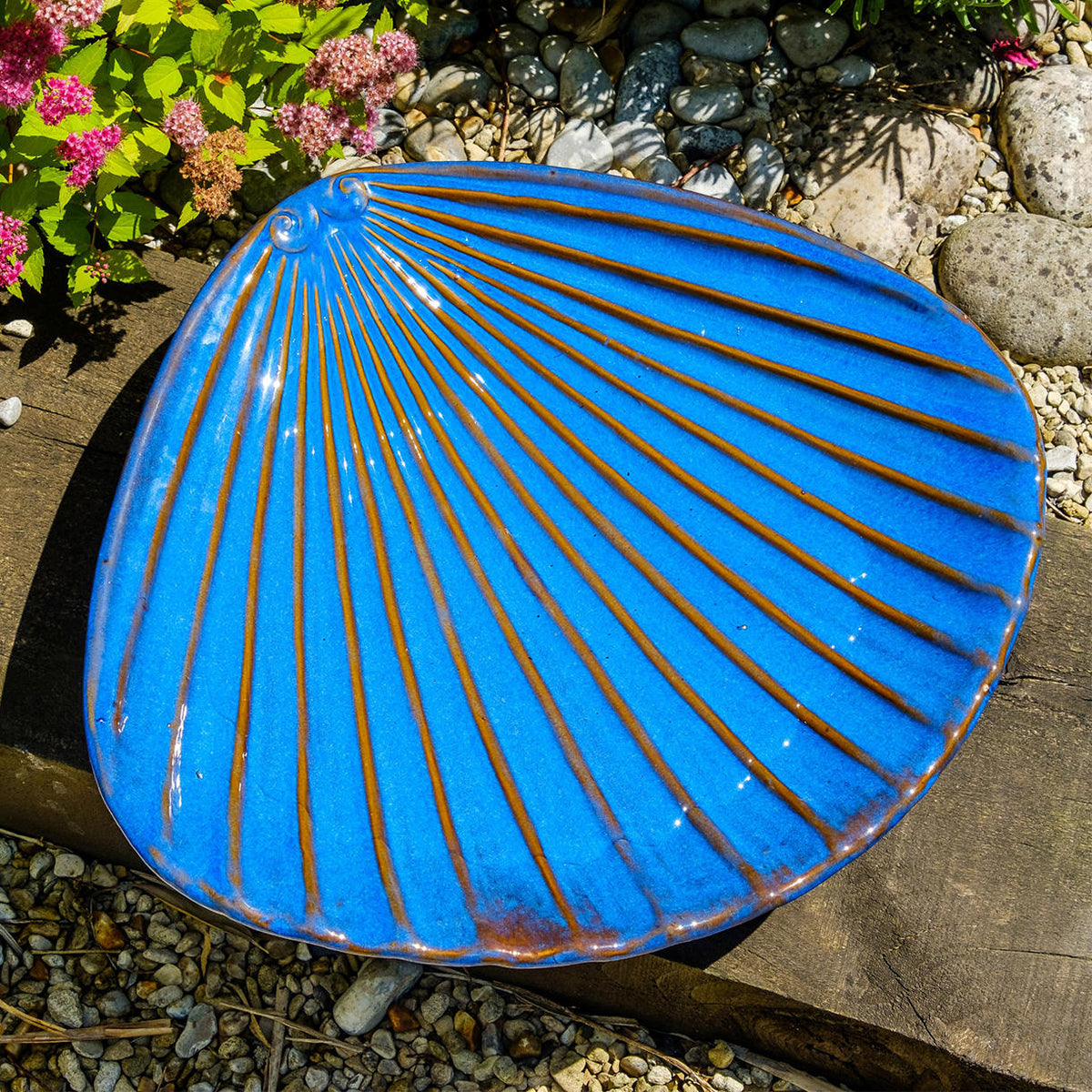 Buy Sea Shell Bird Bath — The Worm that Turned - revitalising your ...