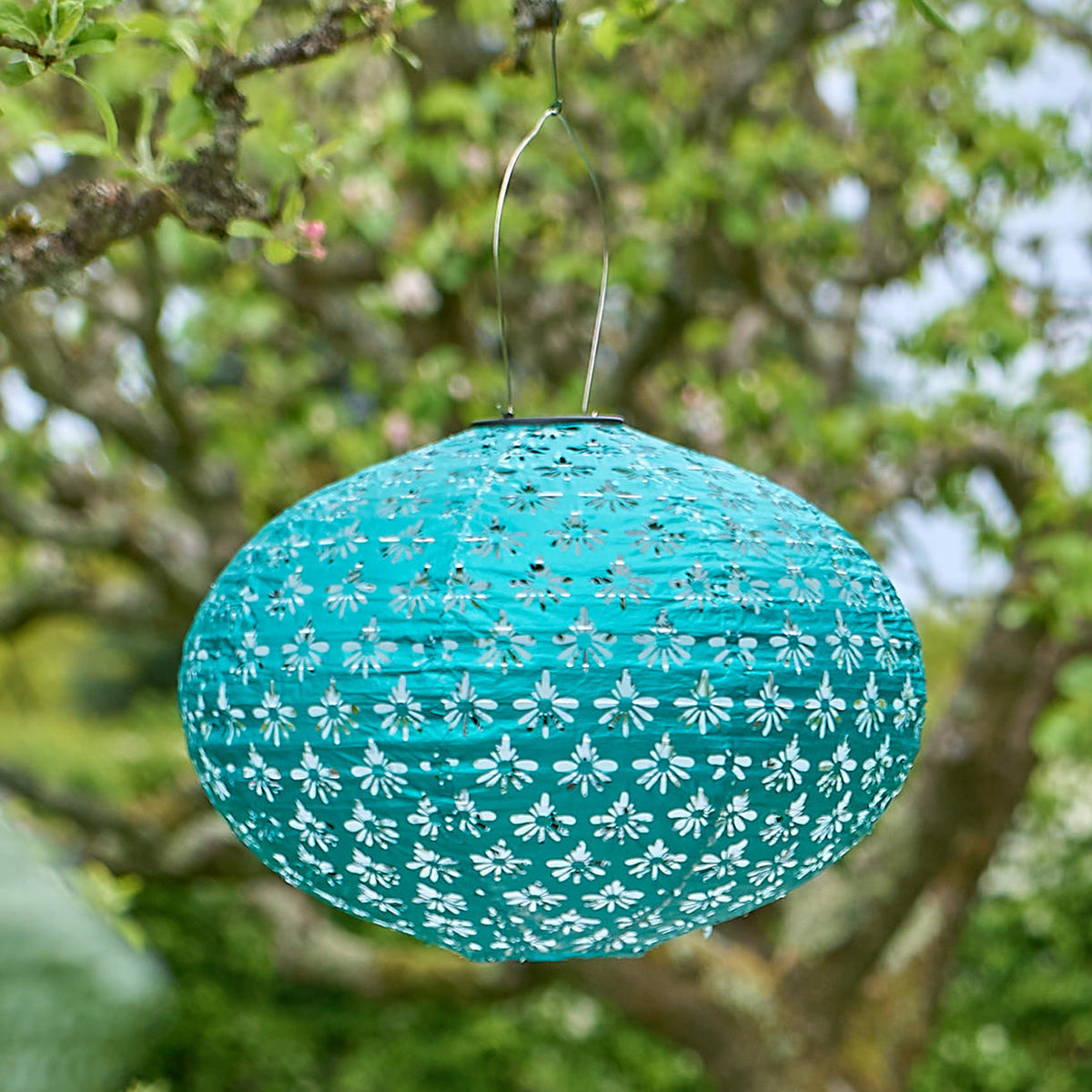 Buy Solar Ellipse Outdoor Summer Lantern — The Worm that Turned ...