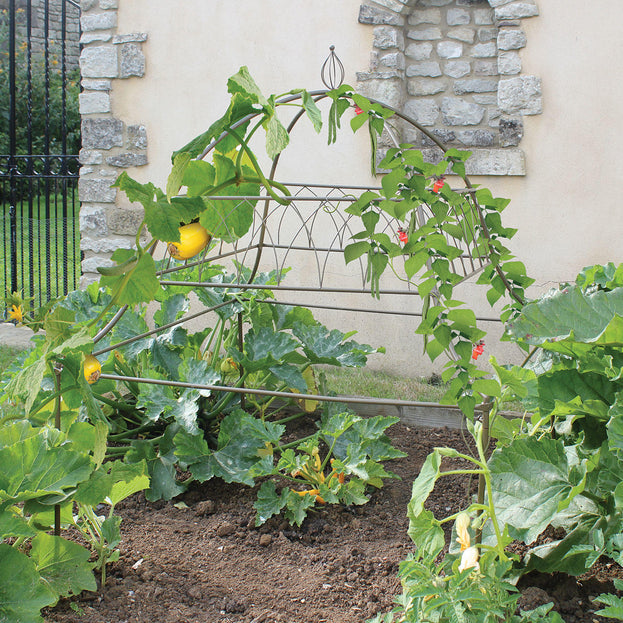 Buy Square Potager Ornamental Support Frame — The Worm that Turned ...