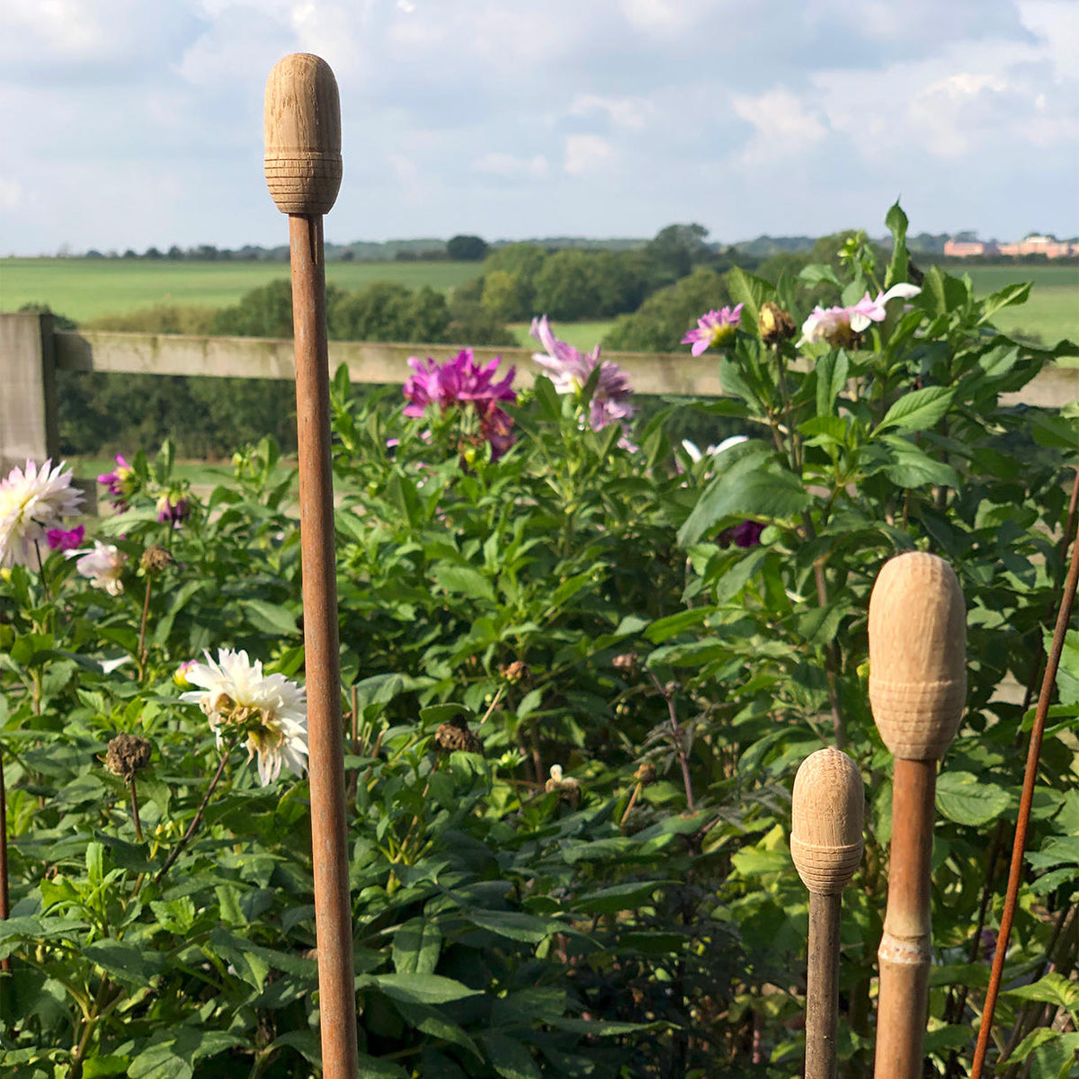 Buy Oak Cane Caps — The Worm that Turned - revitalising your outdoor space