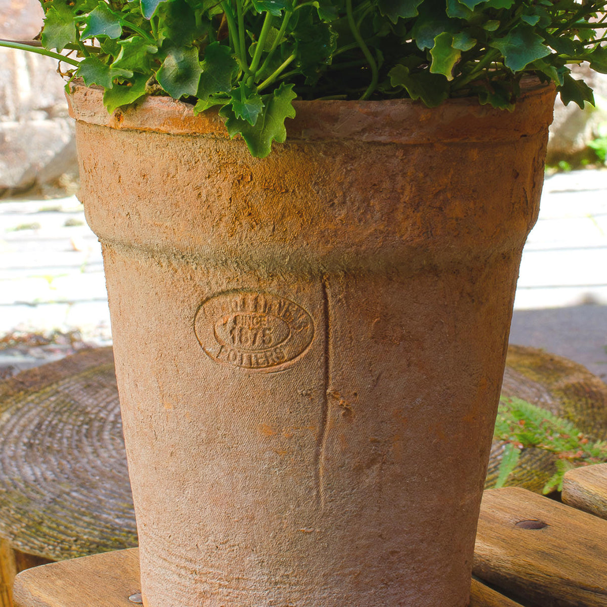 Buy Aged Terracotta Long Tom Pot — The Worm that Turned - revitalising ...