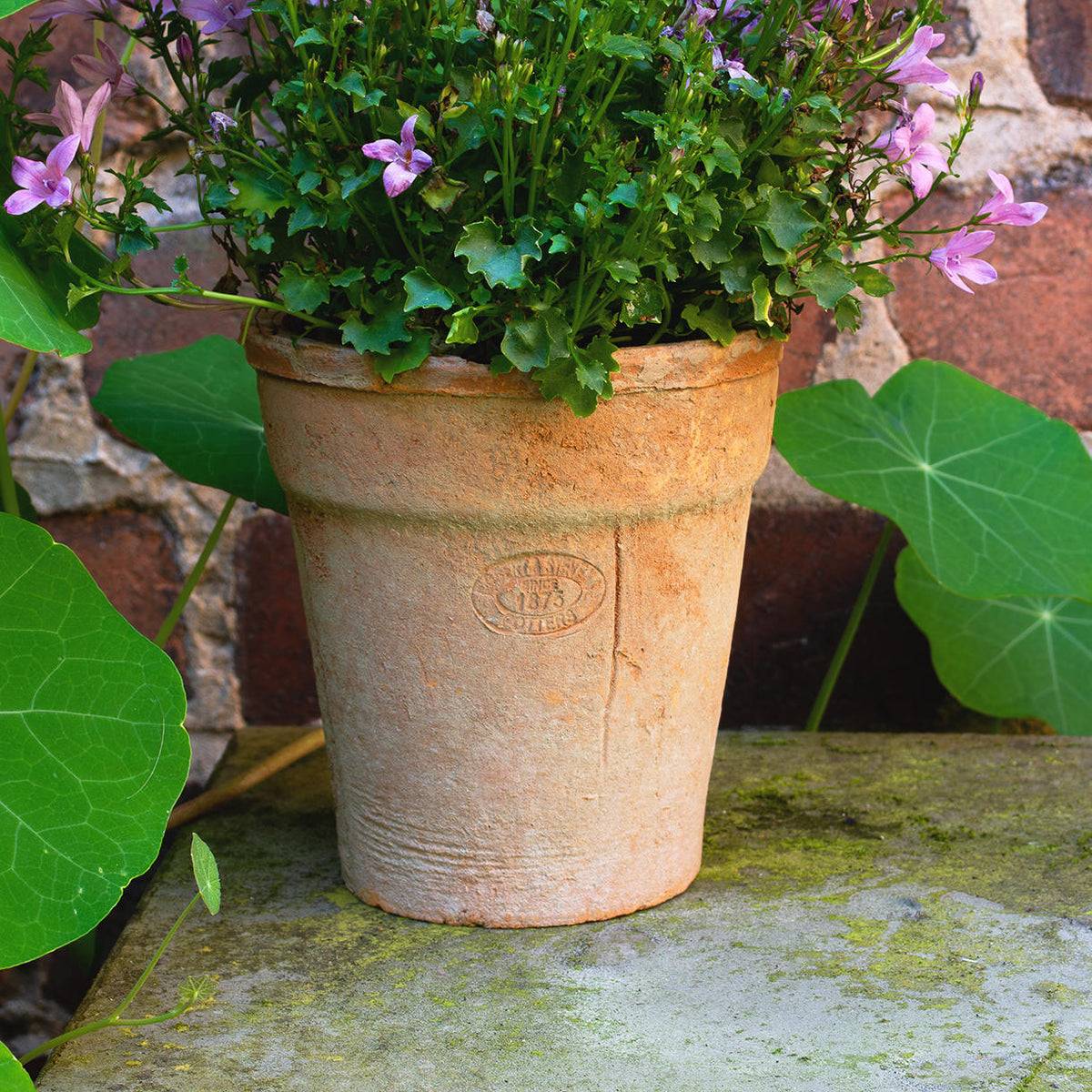 Buy Aged Terracotta Long Tom Pot — The Worm that Turned - revitalising ...