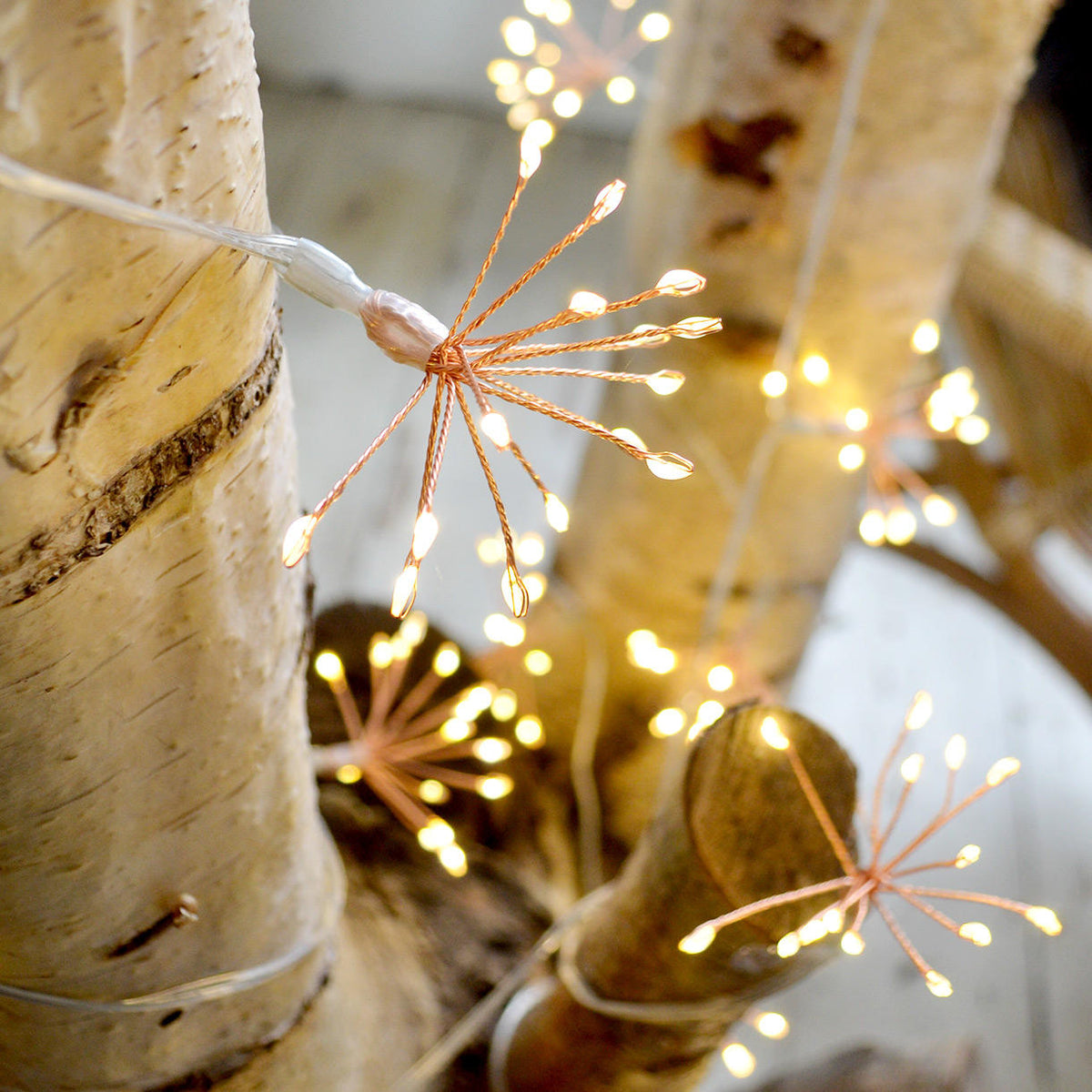 Buy Allium Starburst Mains String Lights — The Worm that Turned ...
