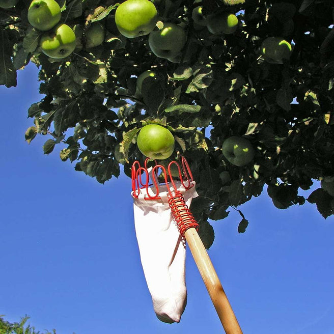 Buy Quicker Picker Fruit Picker — The Worm that Turned - revitalising ...