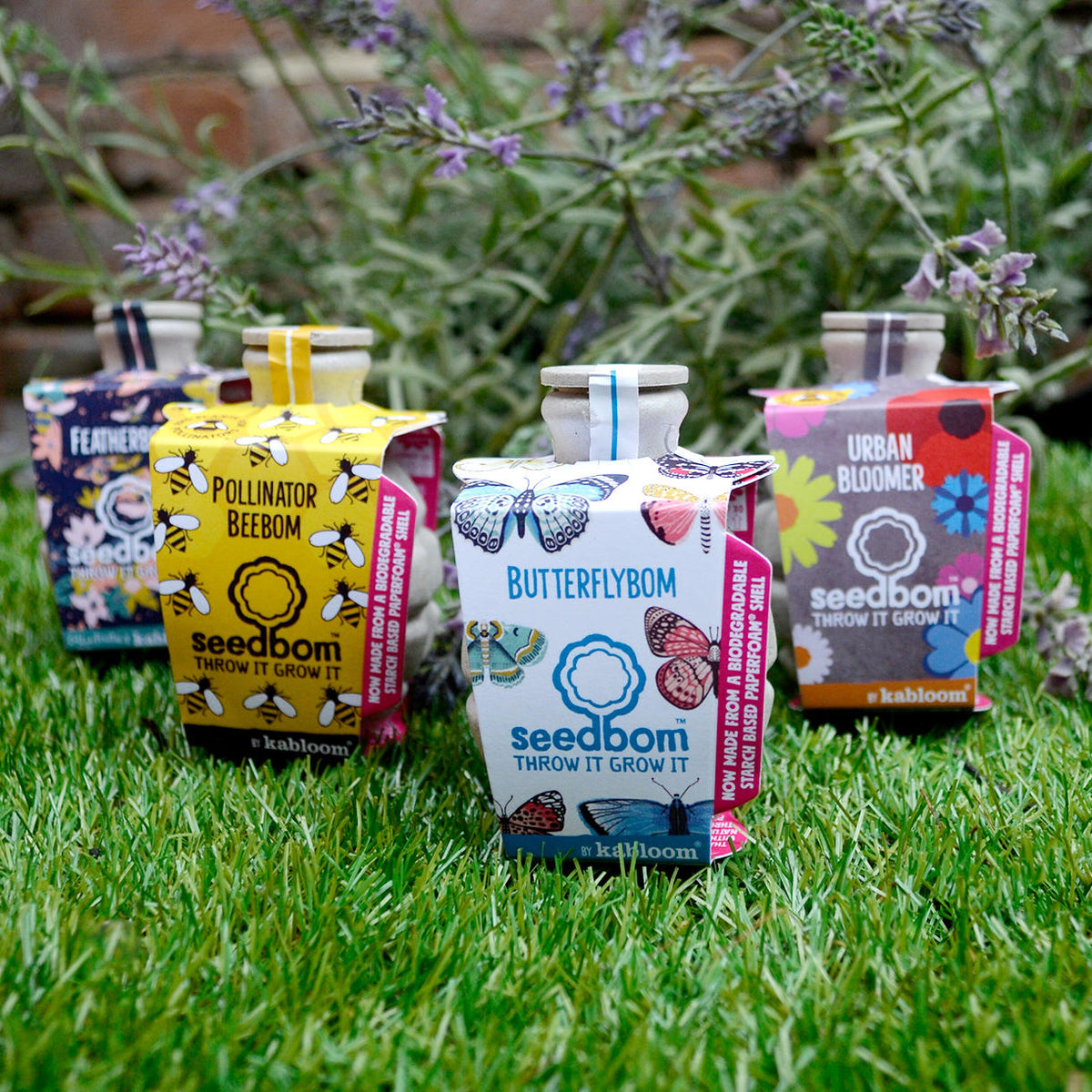 Buy Seedbom Set of 4 - Birds, Bees and Butterflies — The Worm that ...