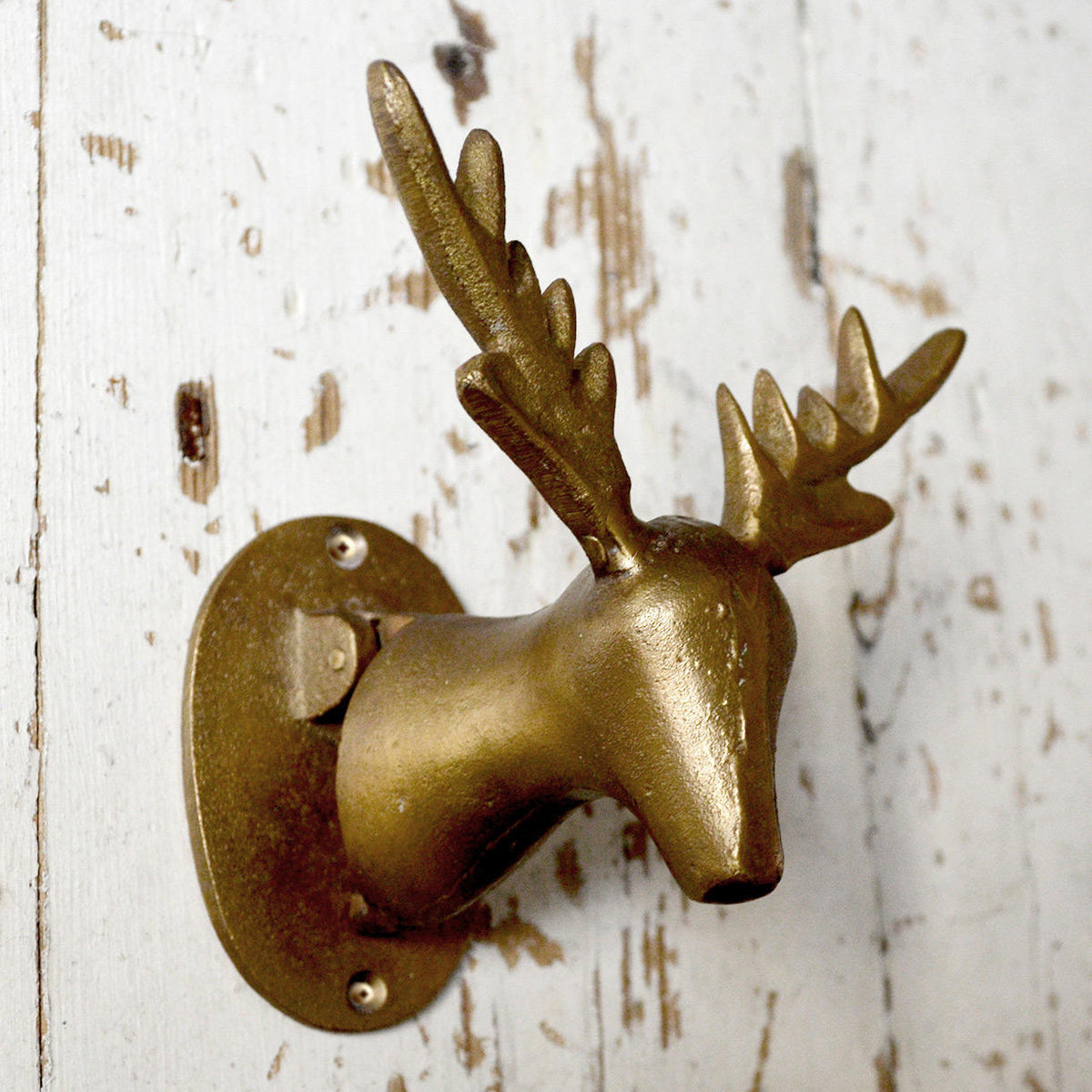 Buy Stag Head Door Knocker — The Worm that Turned - revitalising your ...