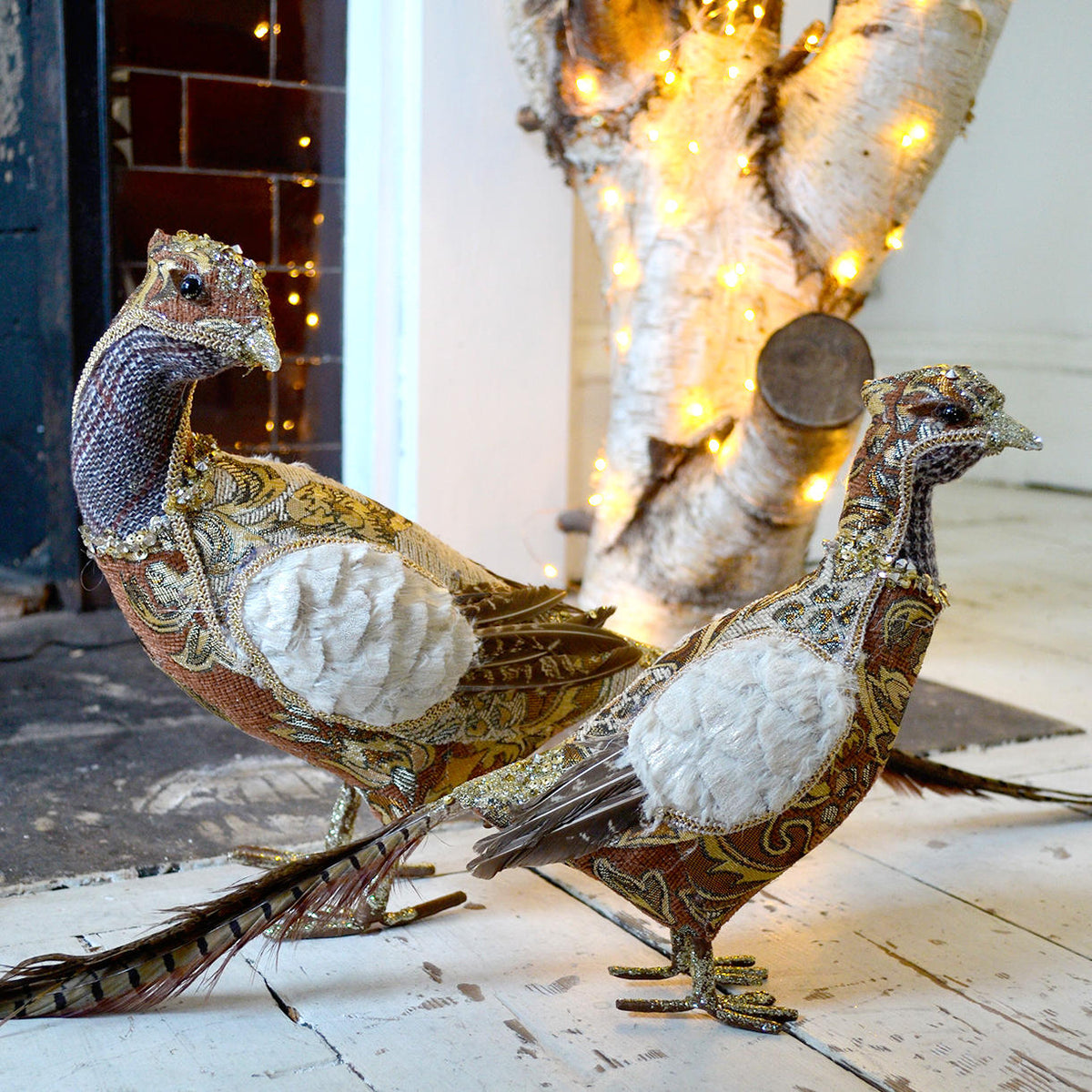 Buy Handsome Preening Brocade Pheasant — The Worm that Turned ...