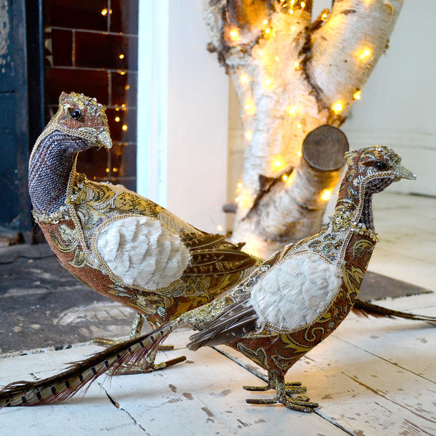 Buy Beau Brocade Pheasant Standing — The Worm that Turned ...