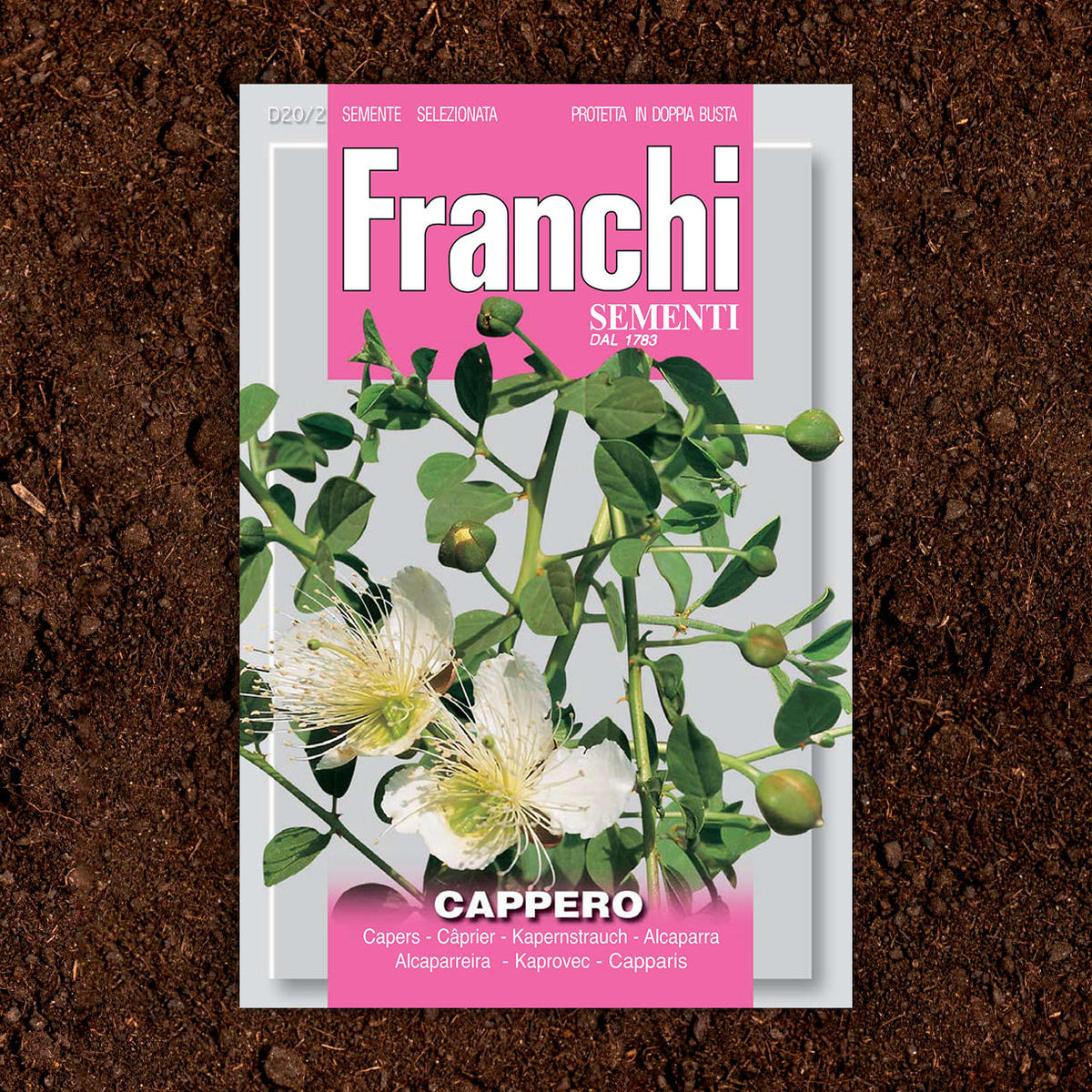 Buy Capers Herb Seeds — The Worm that Turned - revitalising your ...