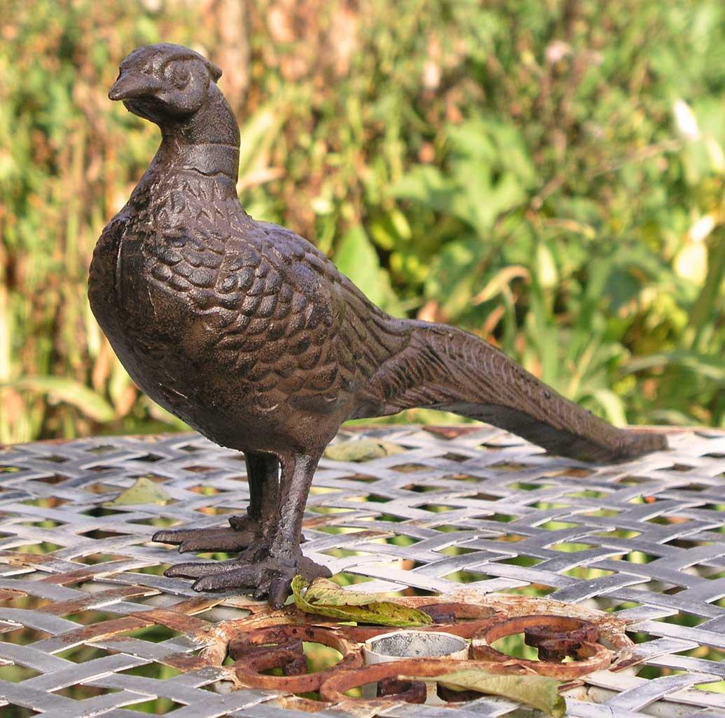 Buy Cast Iron Pheasant — The Worm that Turned - revitalising your ...