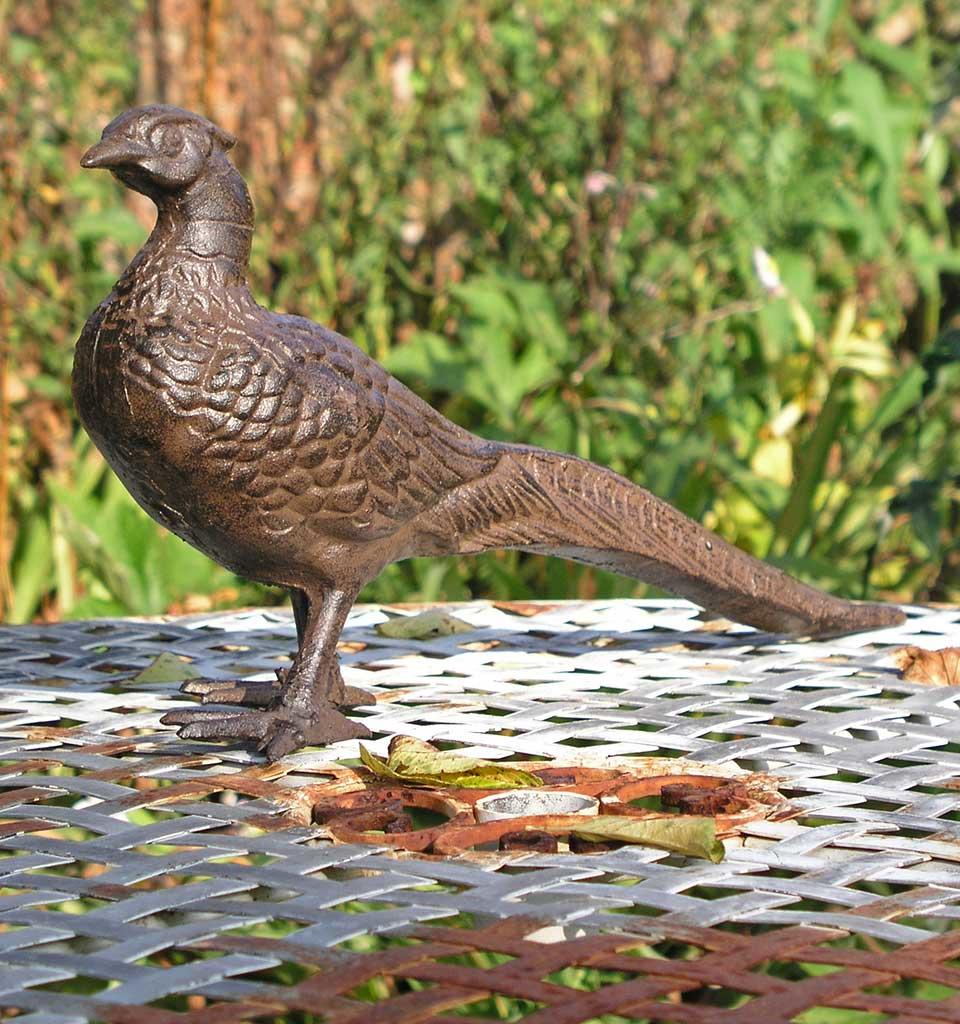 Buy Cast Iron Pheasant — The Worm that Turned - revitalising your ...