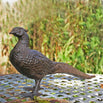 Buy Cast Iron Pheasant — The Worm that Turned - revitalising your ...