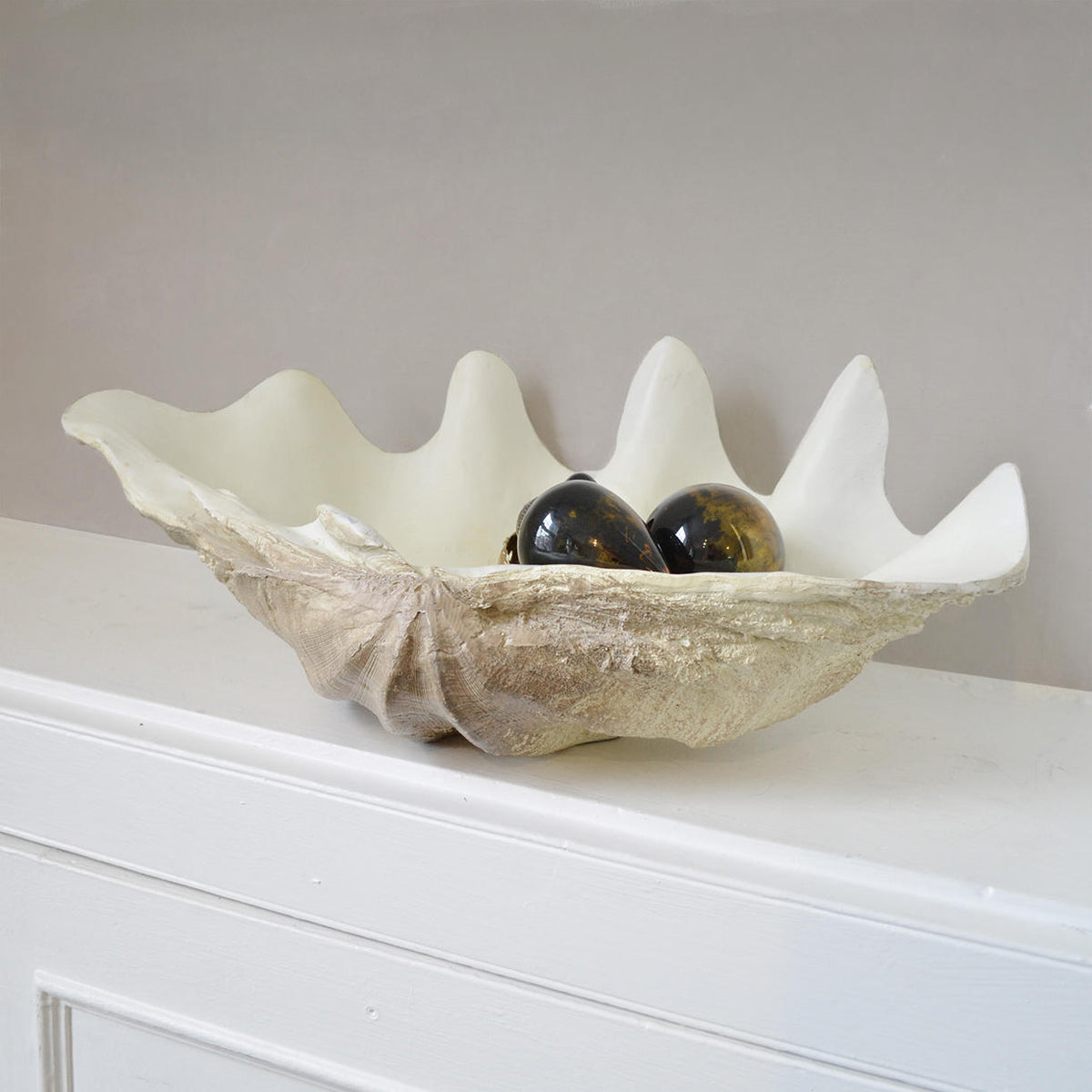 Buy Clam Shell Dish — The Worm that Turned - revitalising your outdoor ...