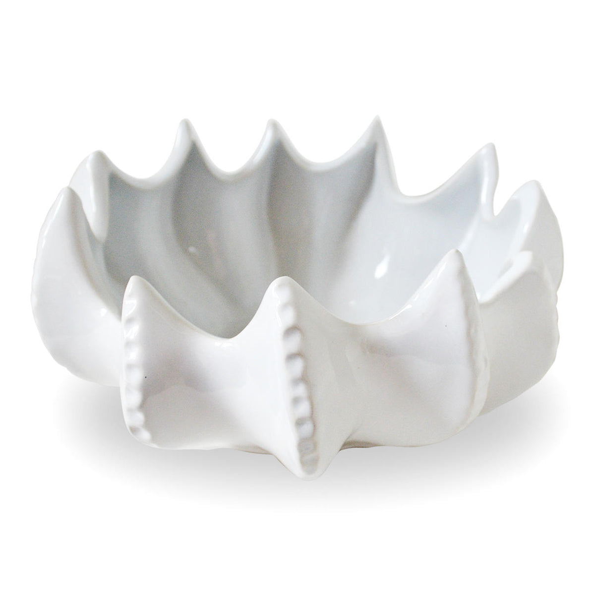 Buy White Sea Shell Bowl — The Worm that Turned - revitalising your ...
