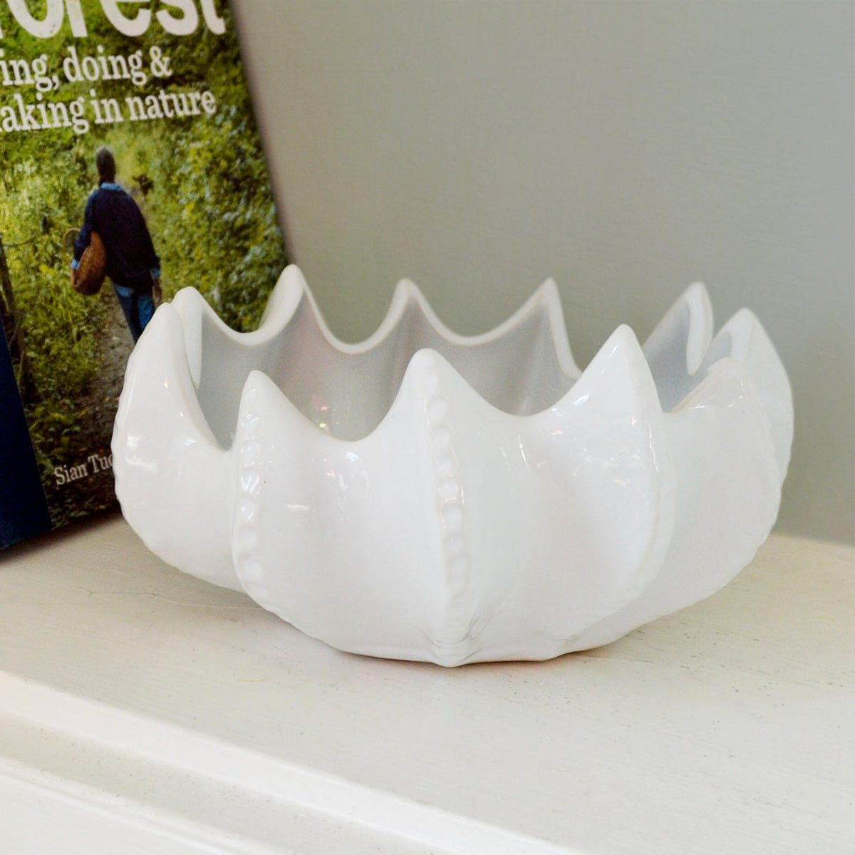 Buy White Sea Shell Bowl — The Worm that Turned - revitalising your ...