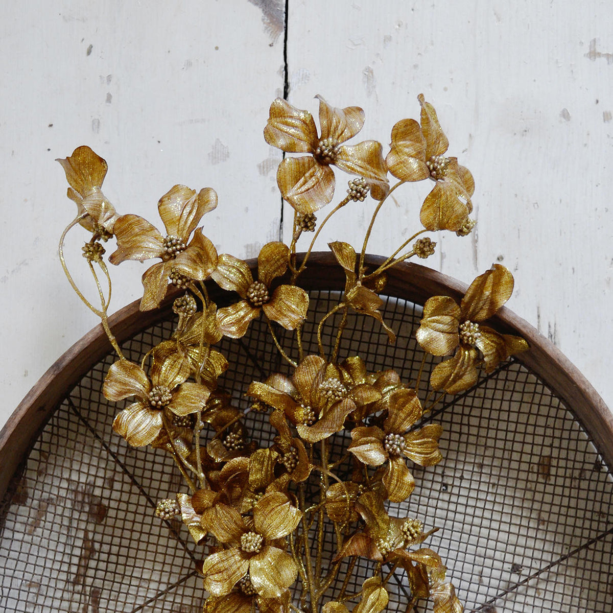 Buy Metallic Gold Dogwood Spray — The Worm that Turned - revitalising ...