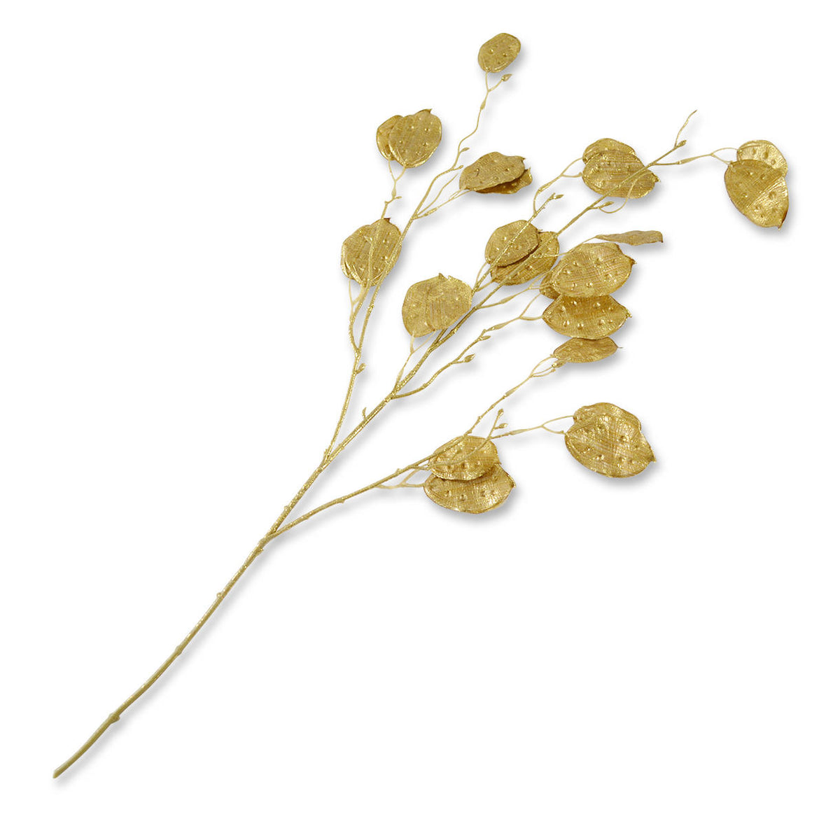 Buy Metallic Gold Honesty Spray — The Worm that Turned - revitalising ...