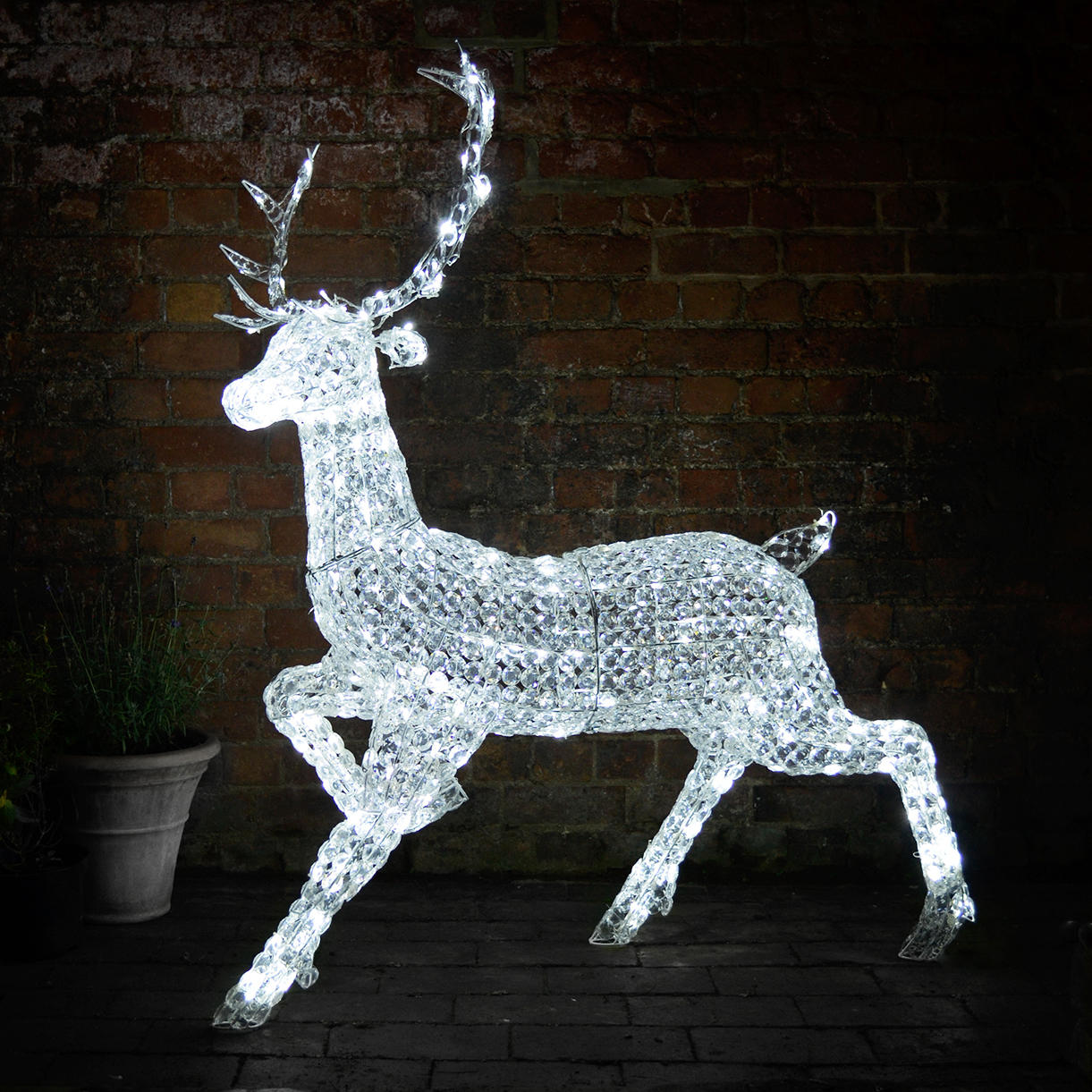 Buy Jewelled Stag with 300 LED White Lights — The Worm that Turned ...