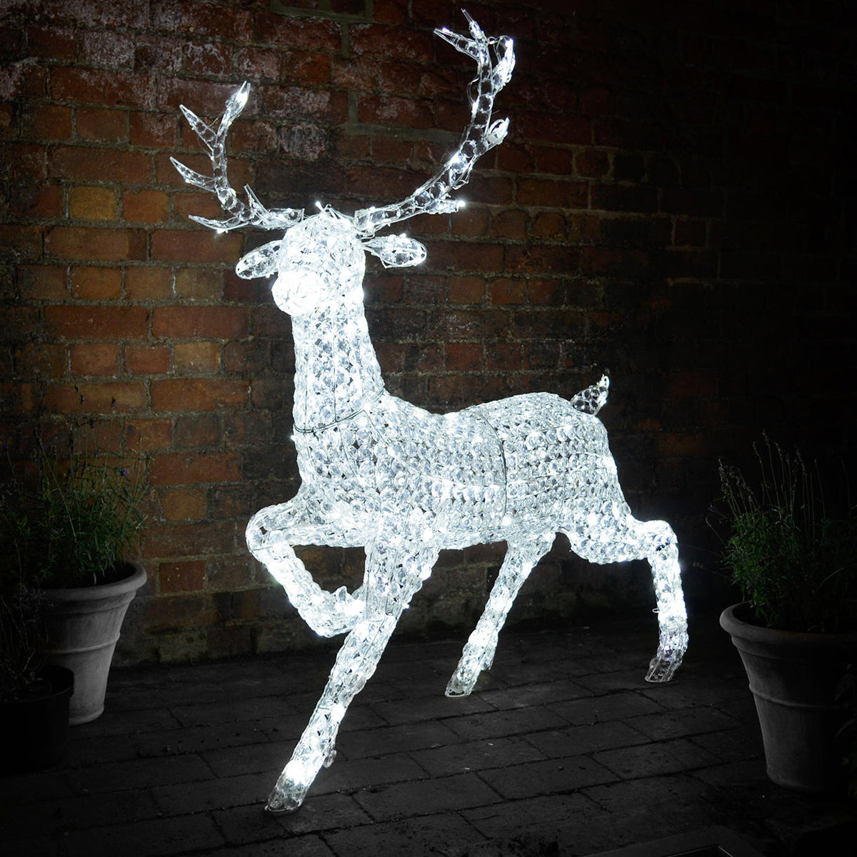 Buy Jewelled Stag with 300 LED White Lights — The Worm that Turned ...